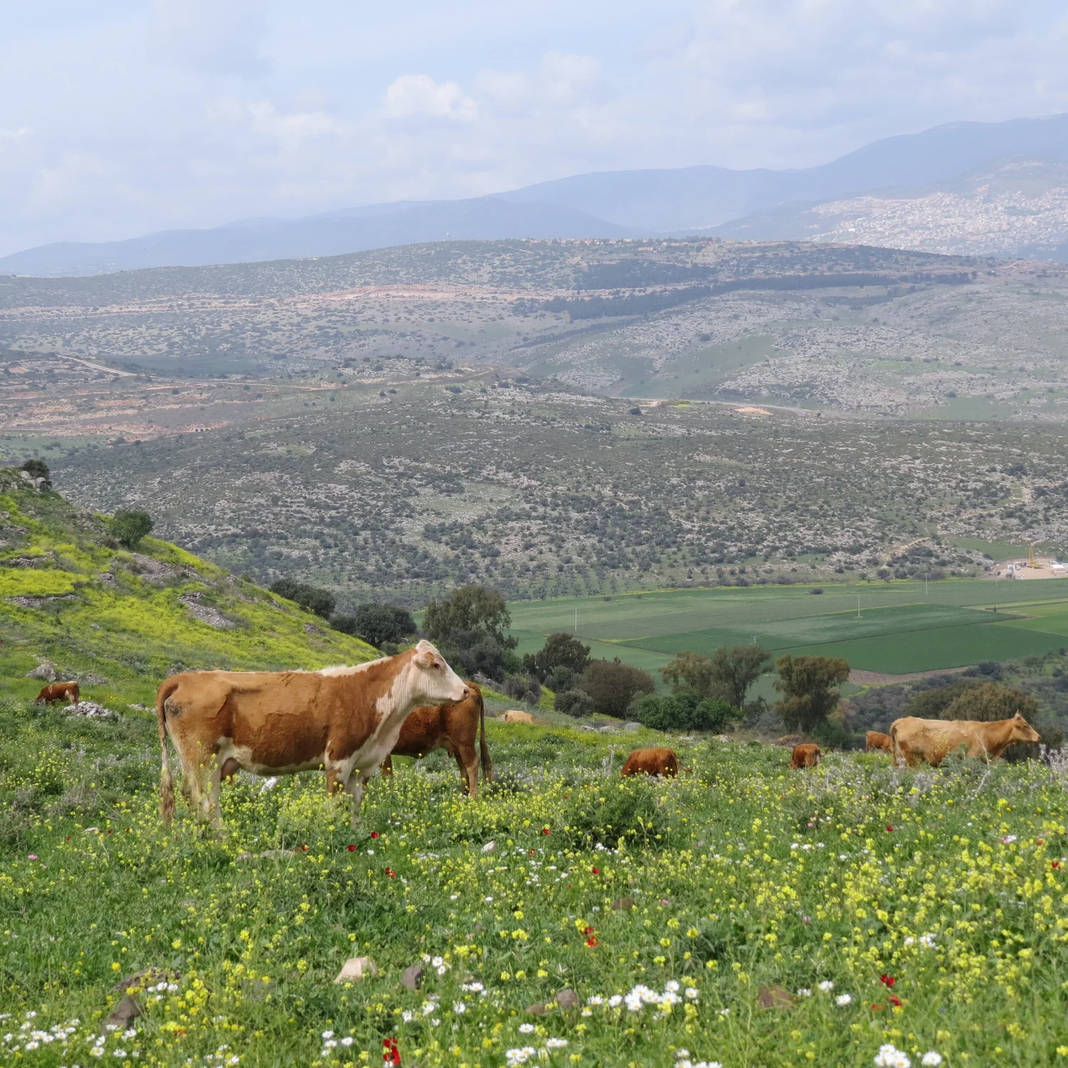 Hiking the Galilee on the Jesus Trail — Globetrotting Booklovers