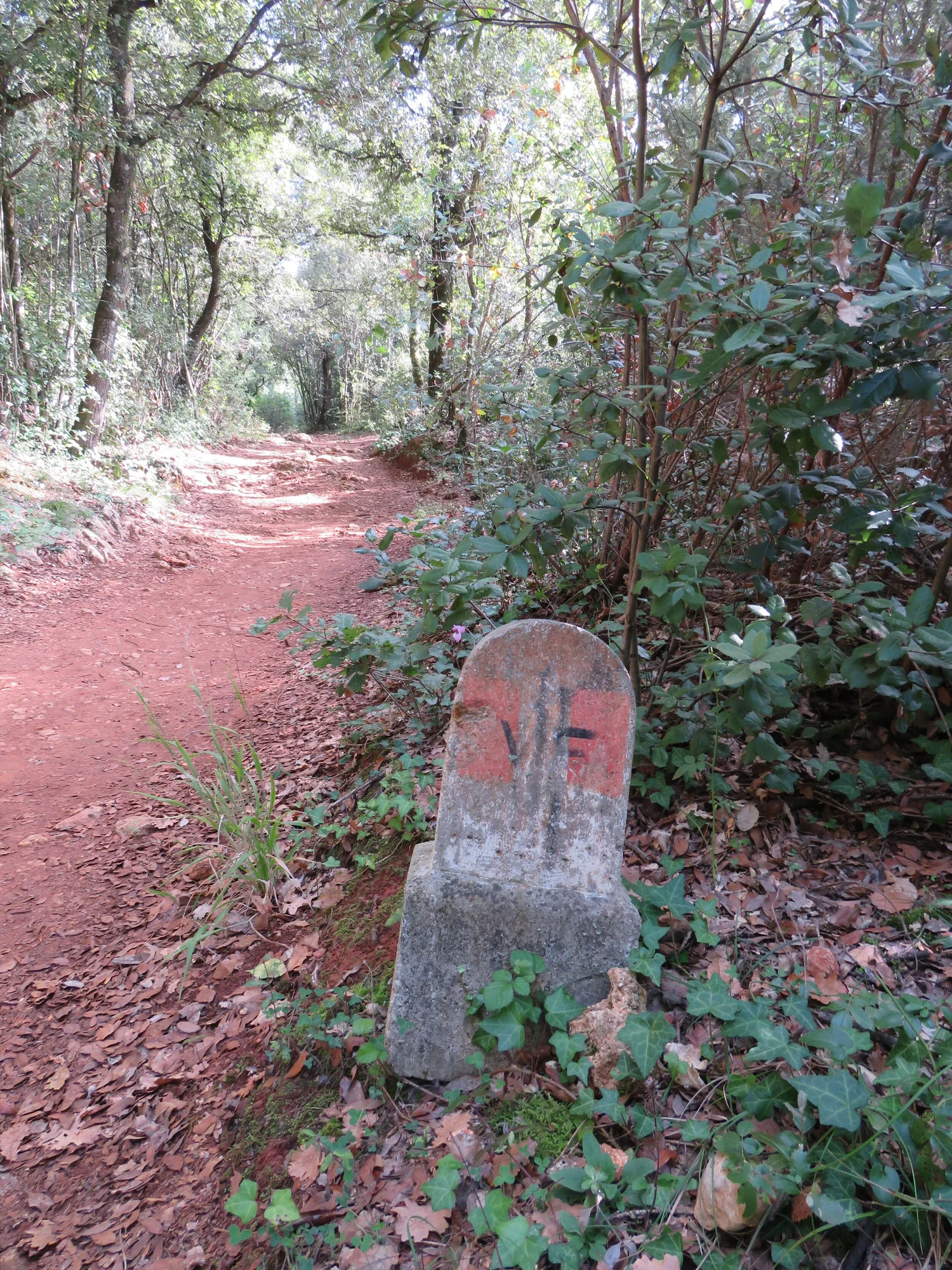 Hiking the Via Francigena: Italy’s Camino — Globetrotting Booklovers