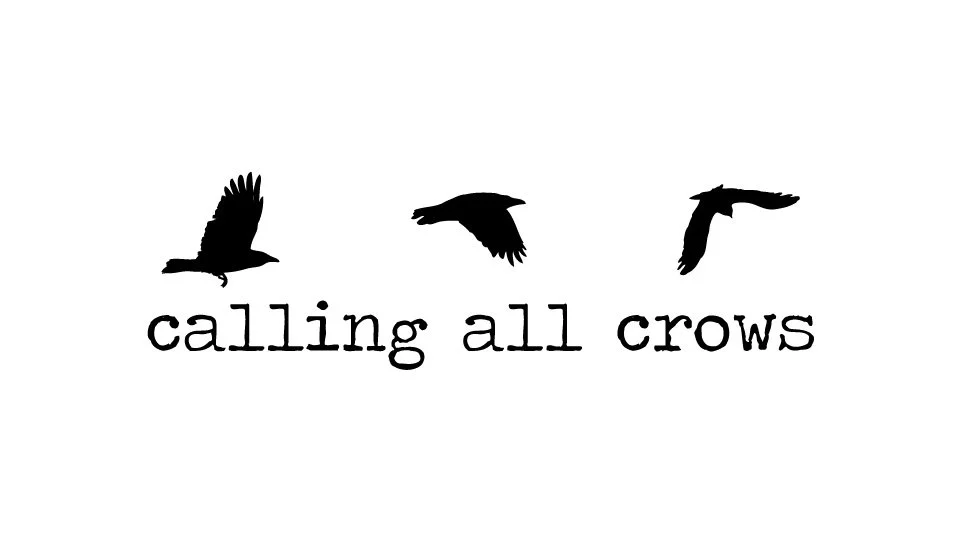Calling All Crows — bighassle.com