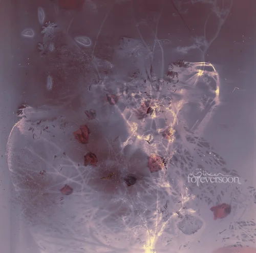 Glixen — bighassle.com