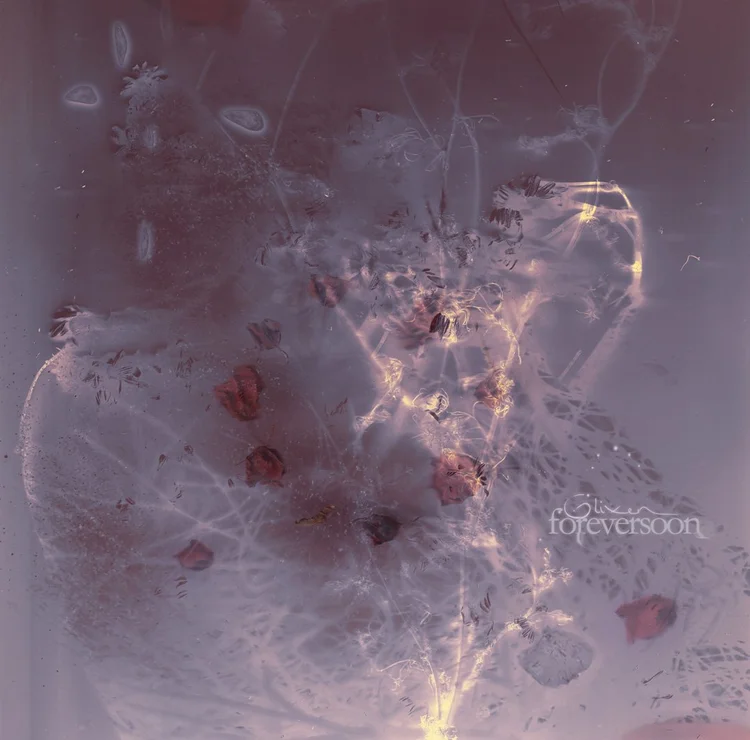 Glixen — bighassle.com