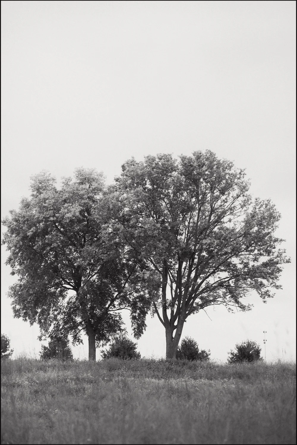 Madeleine Beck Photography Archive