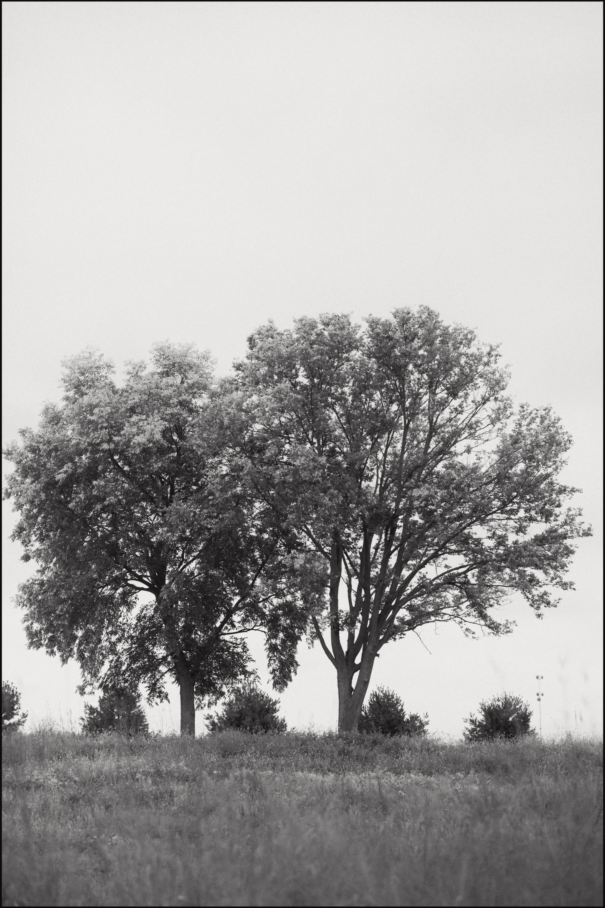 Madeleine Beck Photography Archive