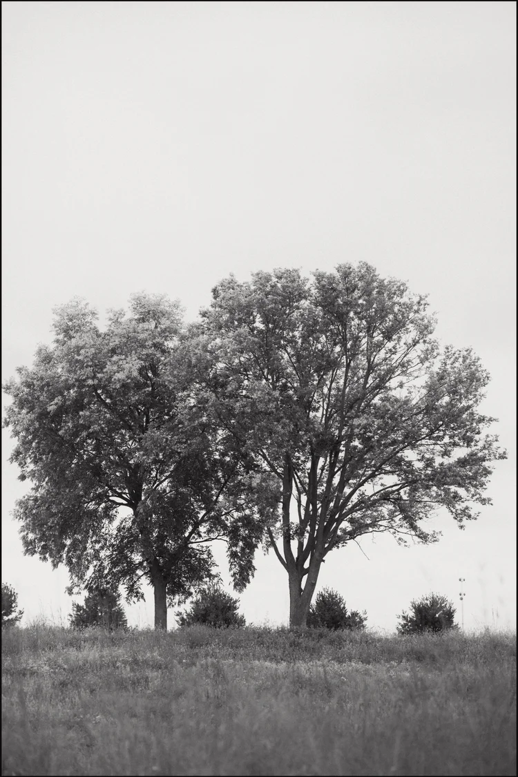 Madeleine Beck Photography Archive