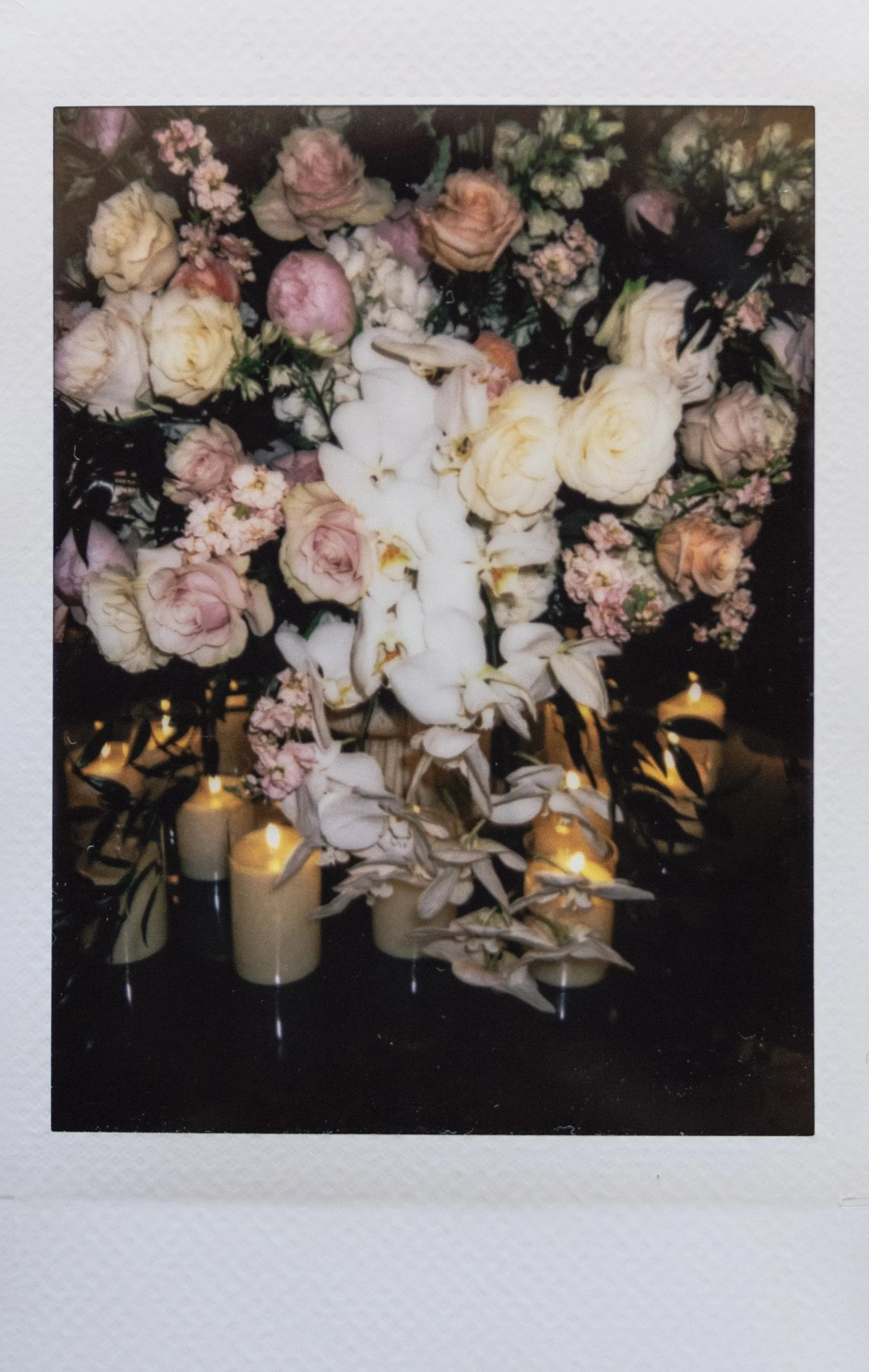 Madeleine Beck Photography Archive