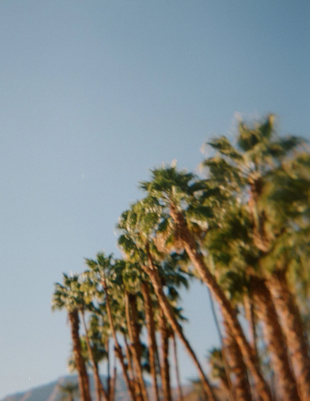 Madeleine Beck Photography Archive