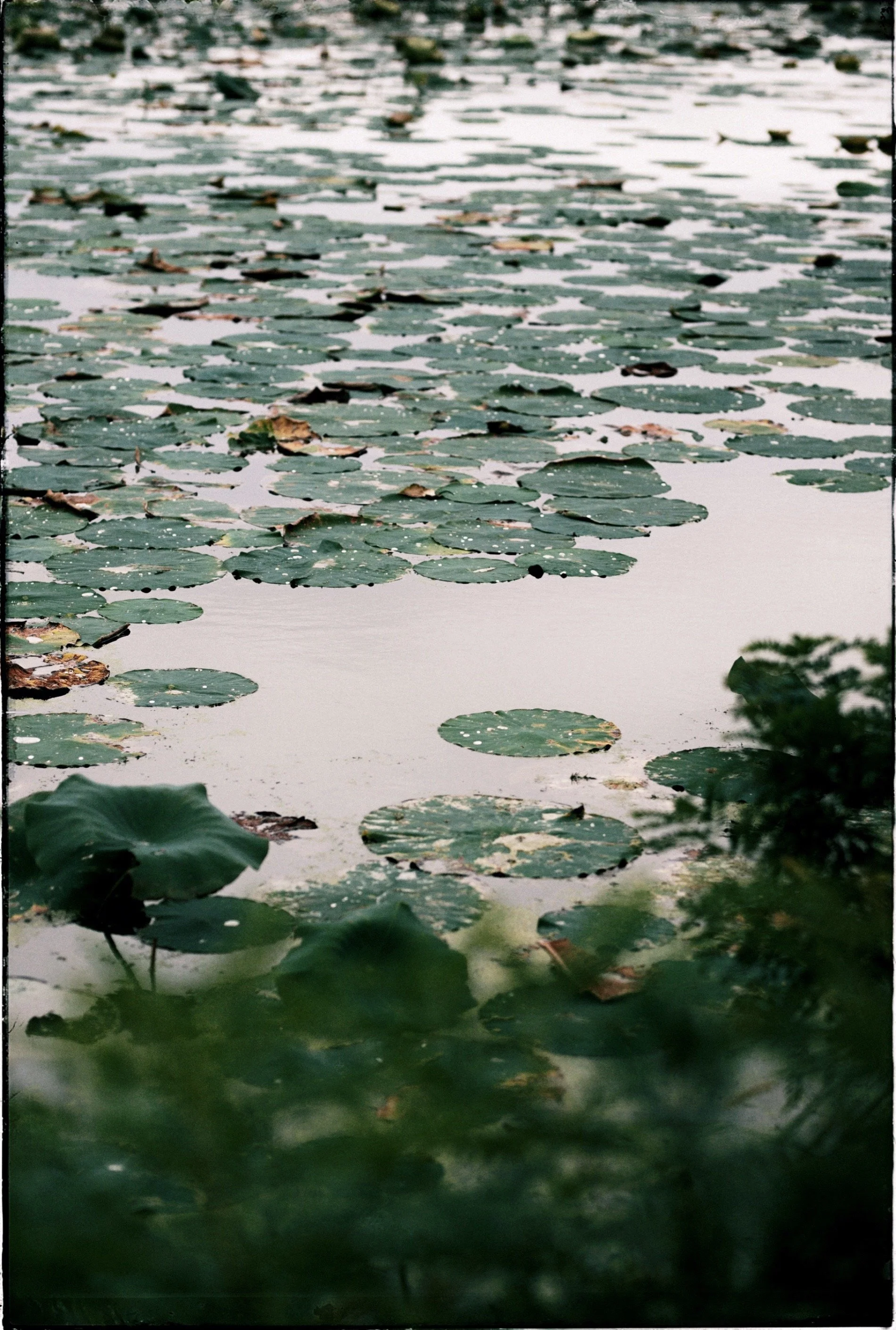 Madeleine Beck Photography Archive