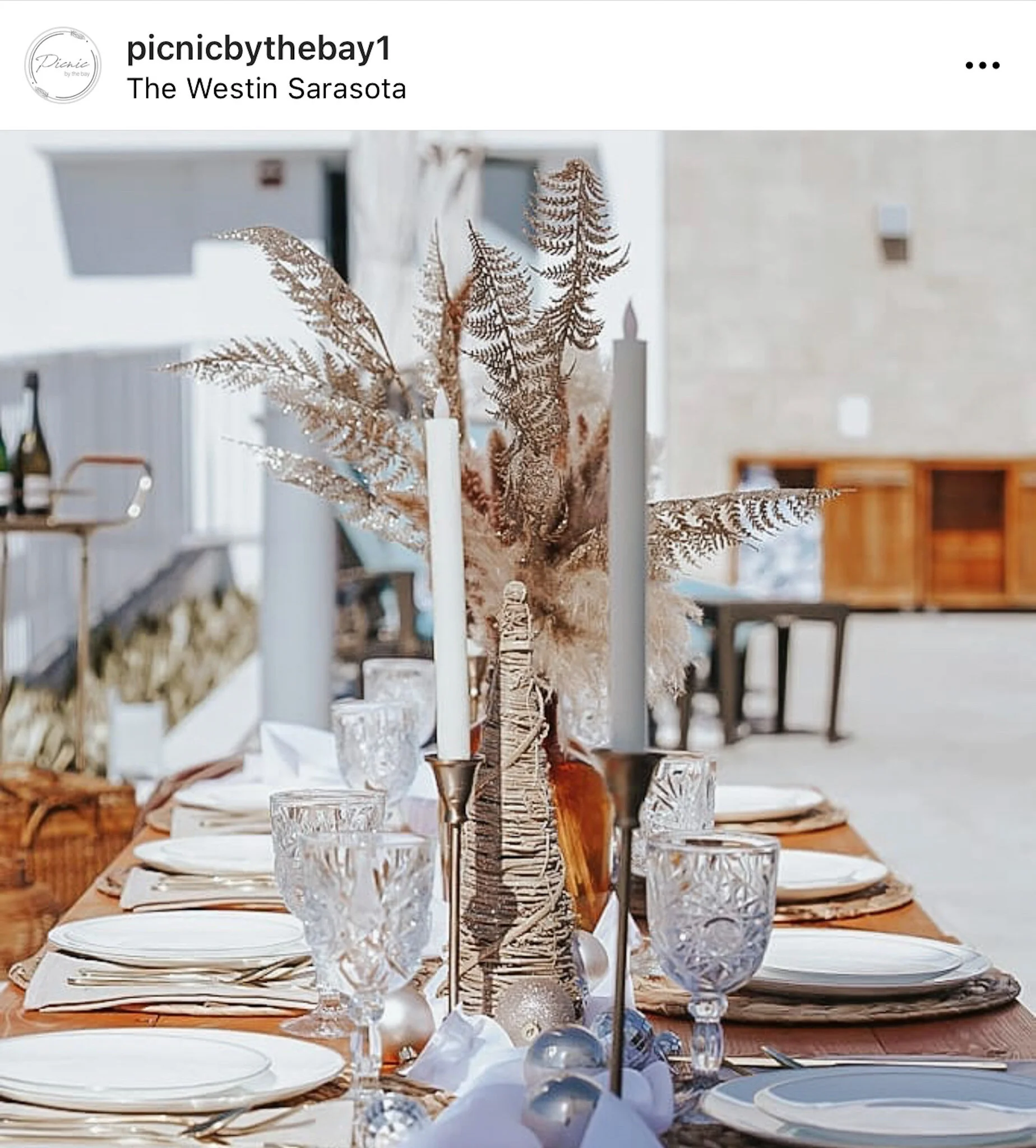 Michael Rischer Photography | Sarasota Photographer