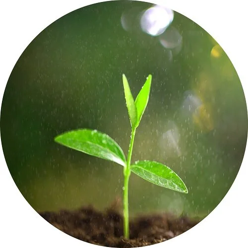 Bontia Bio