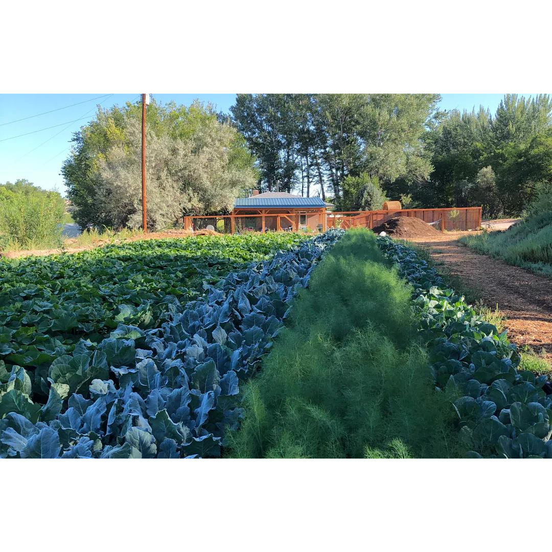 Events — The Kitchen Table Santa Fe