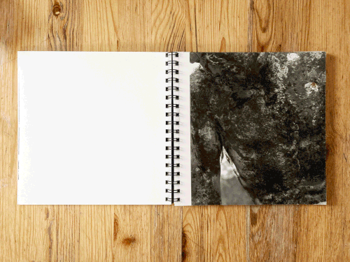 Projects — Daria Solomon