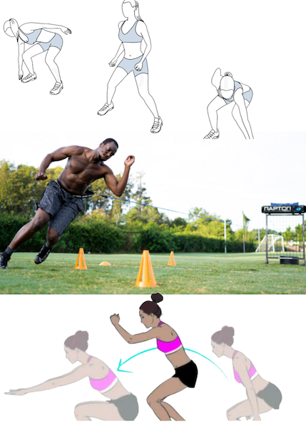 acl tear prevention for athletes — FIXXED