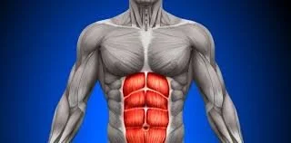 The Core: Your Secret Weapon for Injury Prevention — FIXXED