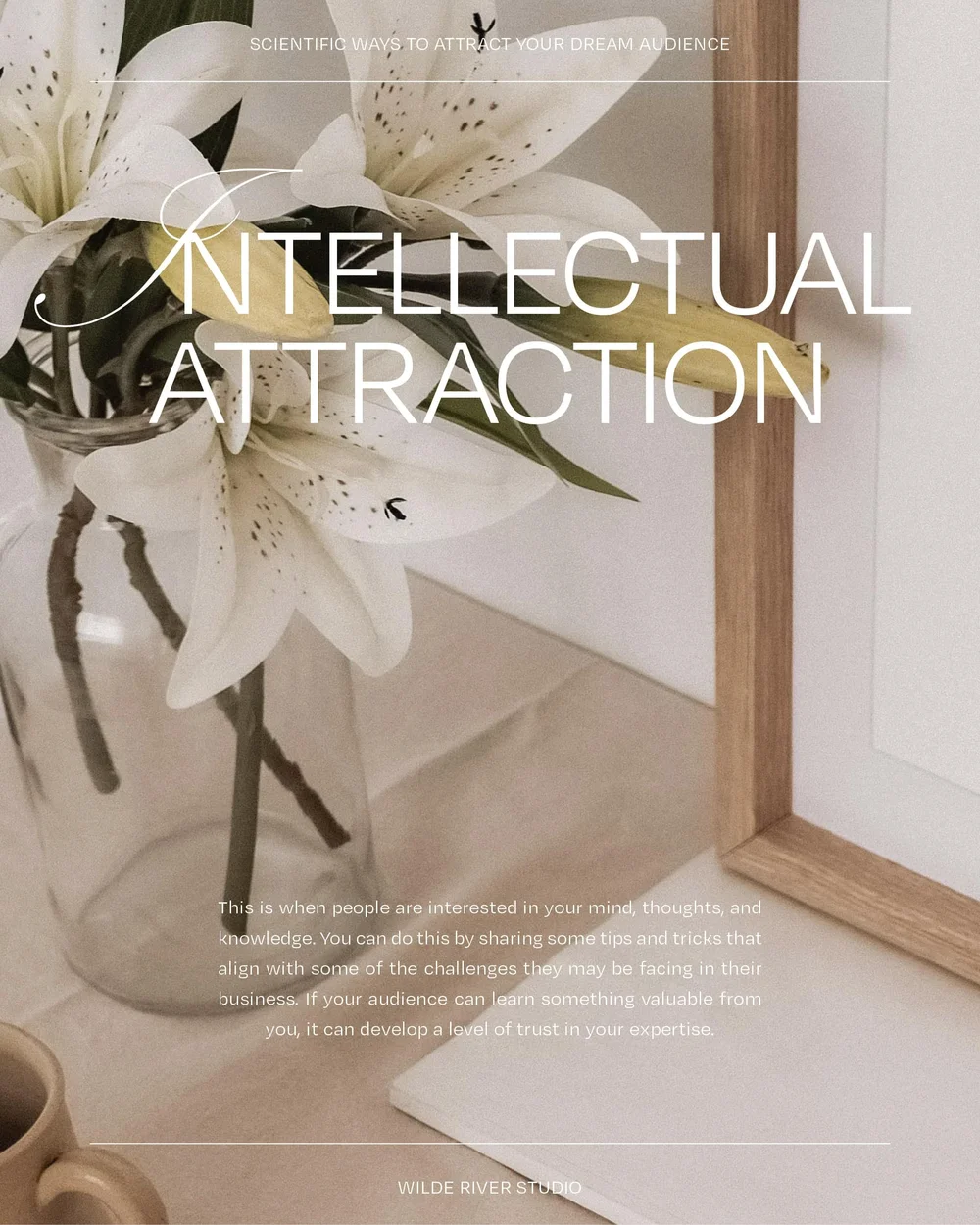 Scientific Ways to Attract your Dream Audience — Wild Theory