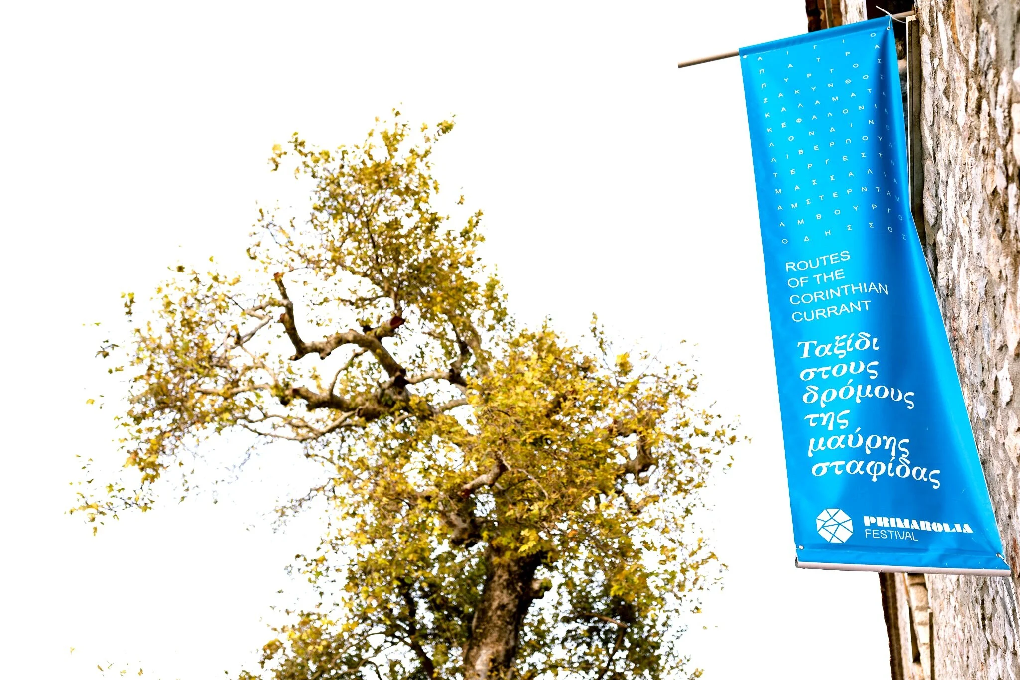 News — Bill Psarras