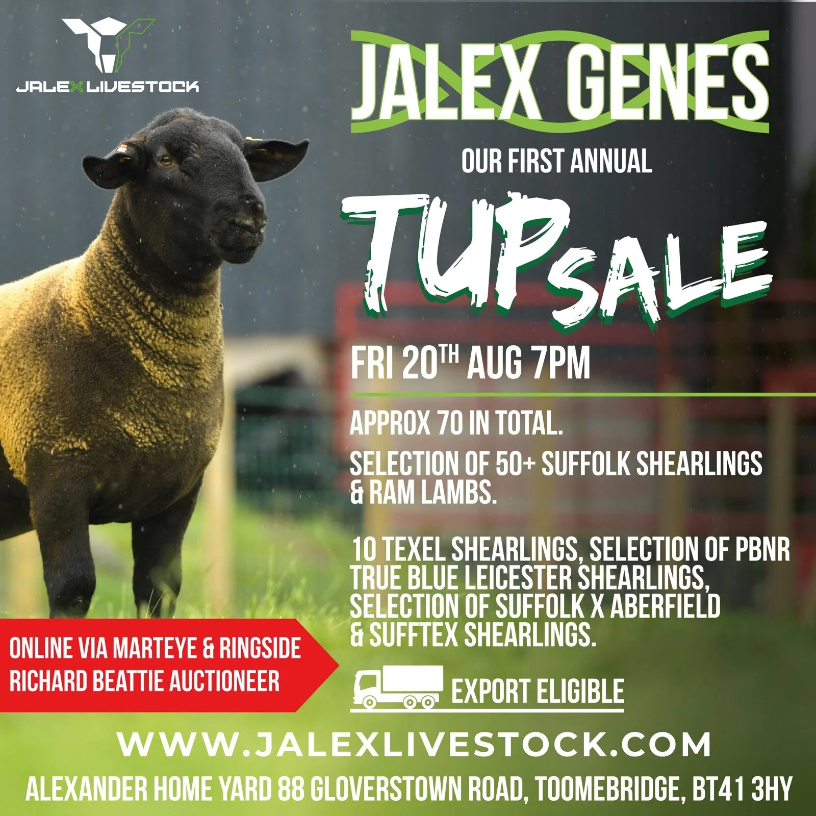 2021 Tup Sale — Jalex Livestock
