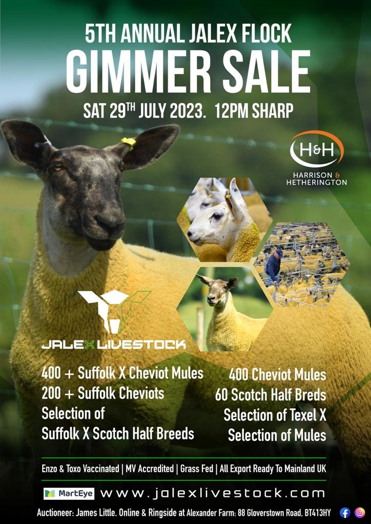 2023 Sheep Sale — Jalex Livestock