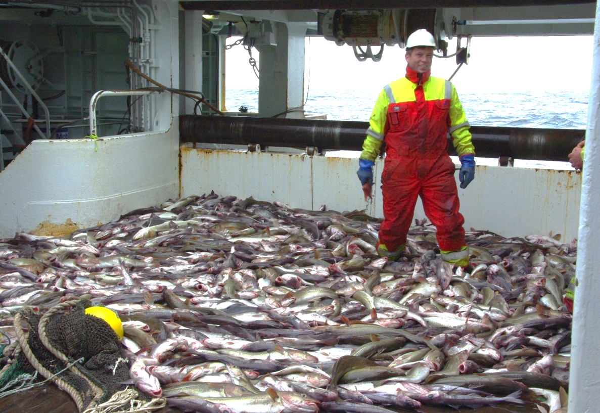 How to Reduce Bycatch in Commercial Fishing: Deep Vision's AI-Powered ...