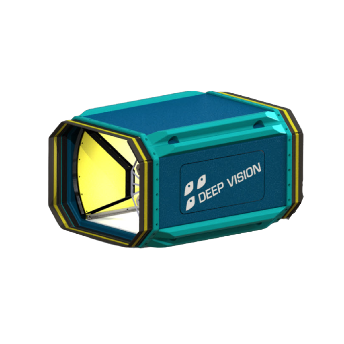 Deep Vision for Marine Research — Deep Vision