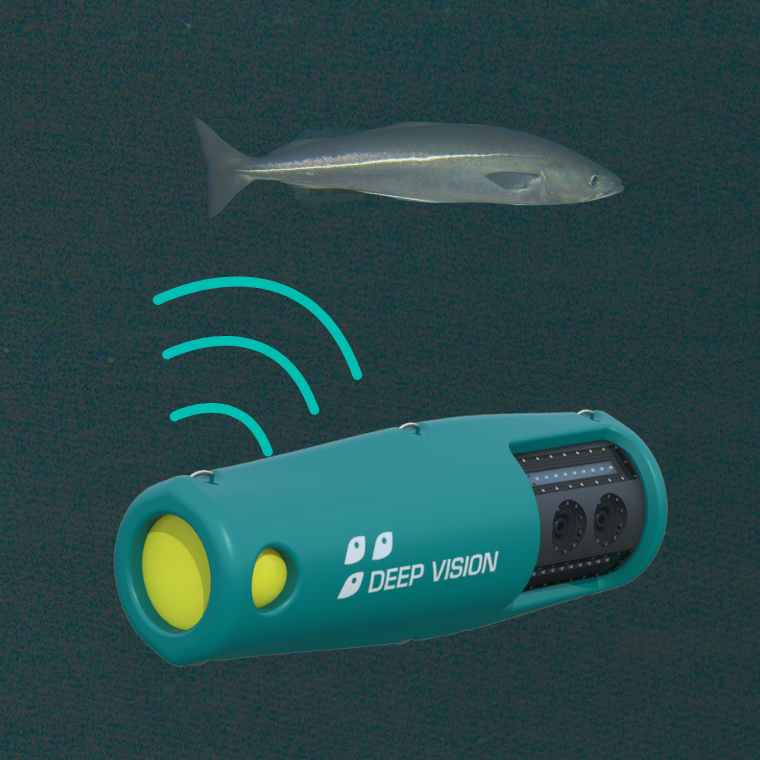 First images from Deep Vision for commercial trawlers — Deep Vision