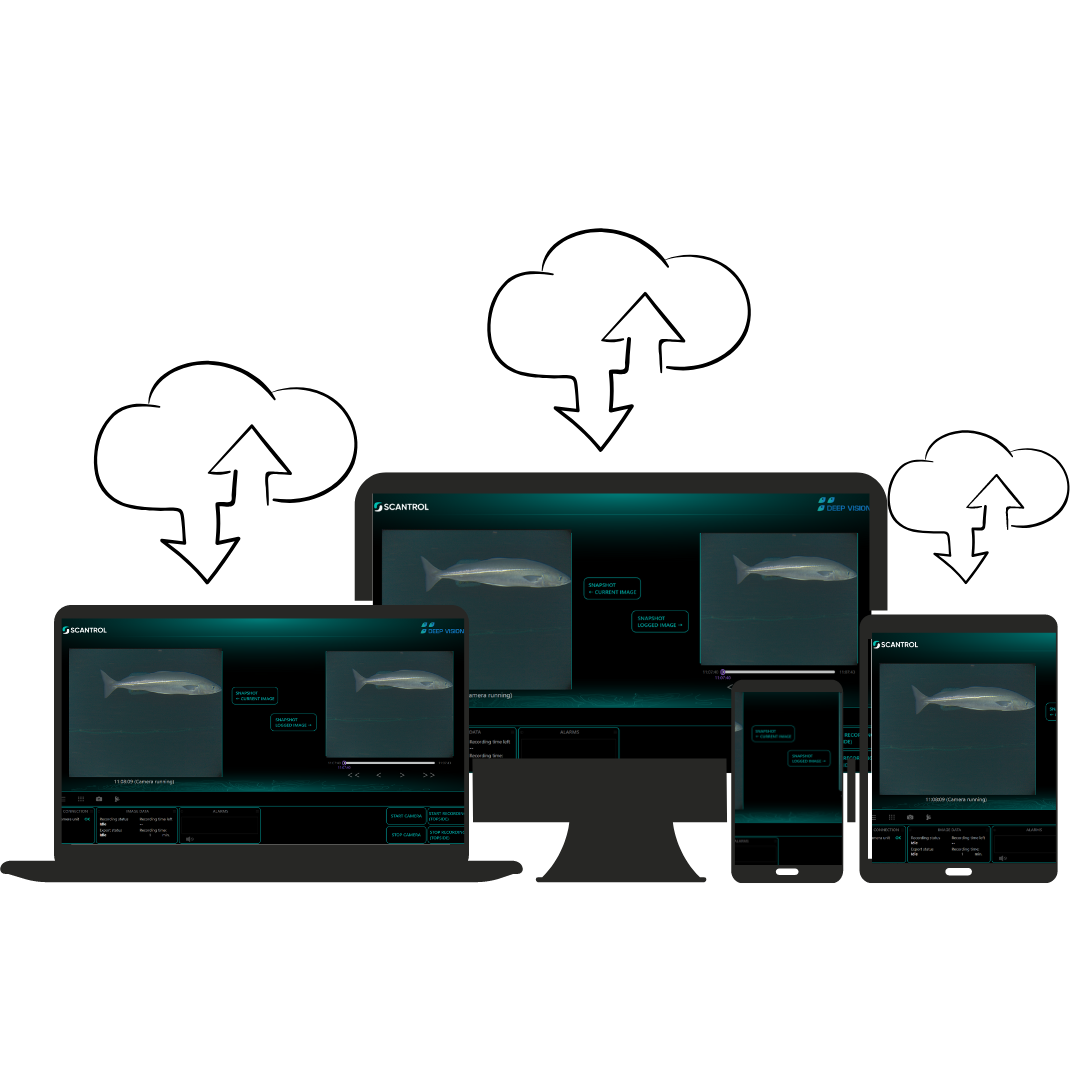 Deep Vision for Commercial Fisheries — Deep Vision