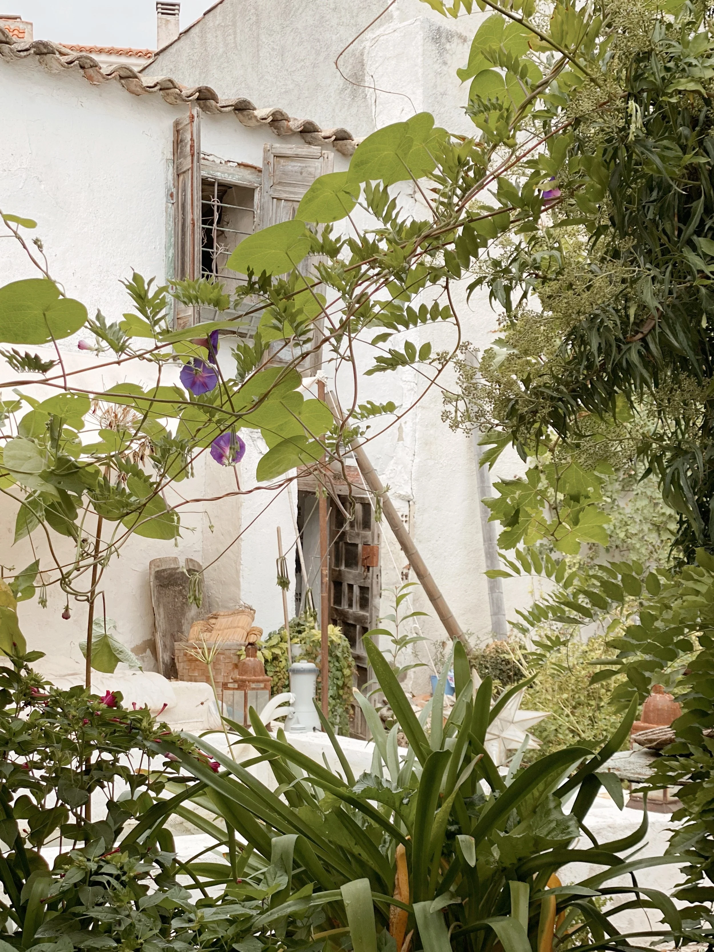 Cedillo del Condado — Arquitectura del Orden, Por amor al hogar lo ...