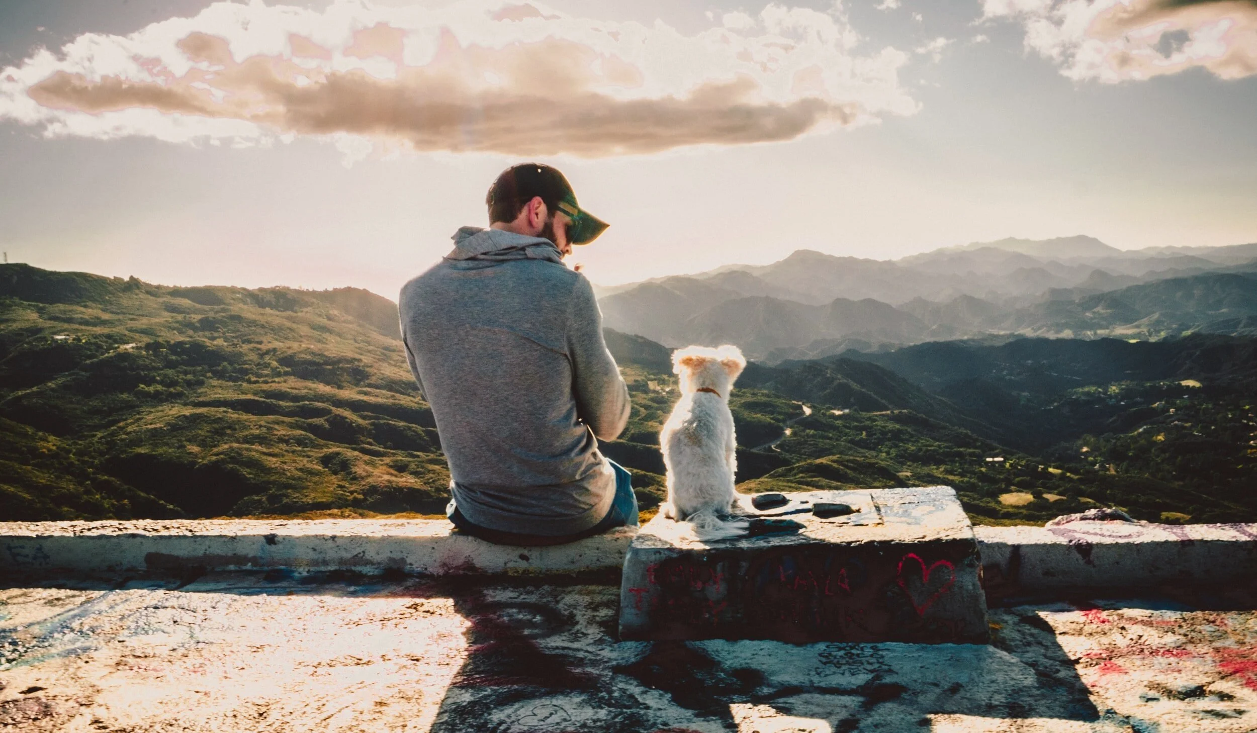 Core Teachings | Enhance Dog Wellness Today — Sama Dog Wellbeing