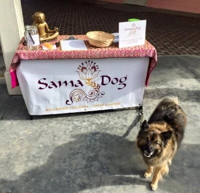 Tribute to our Furry Buddha :: Pepper — Sama Dog :: Holistic Living ...