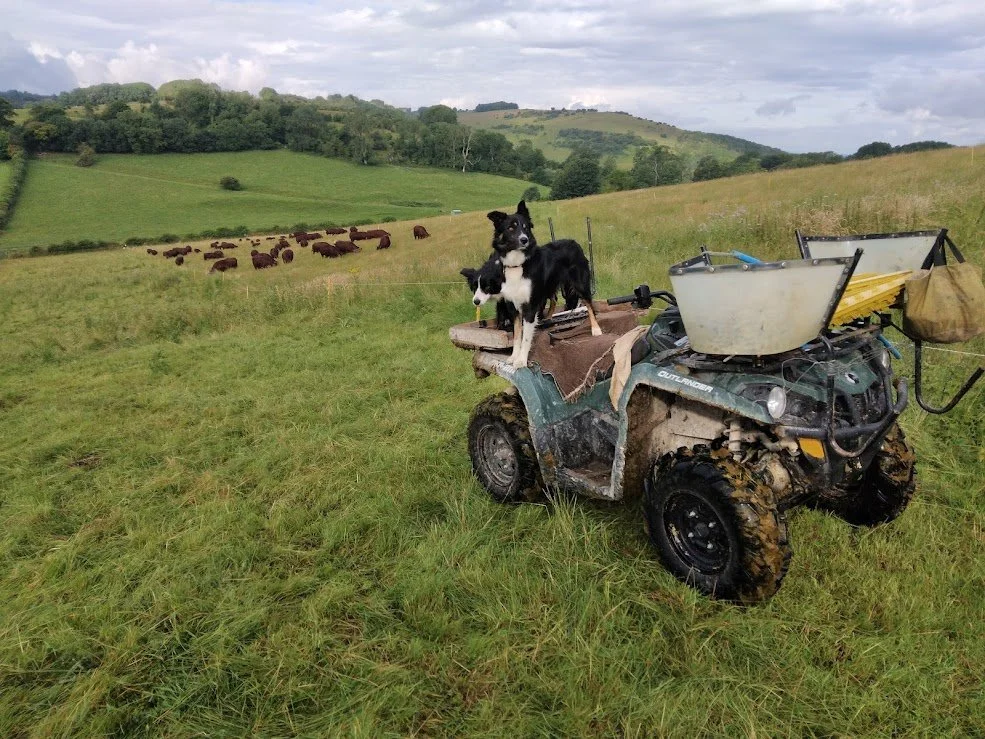 Visit Us — Saddlescombe Farm