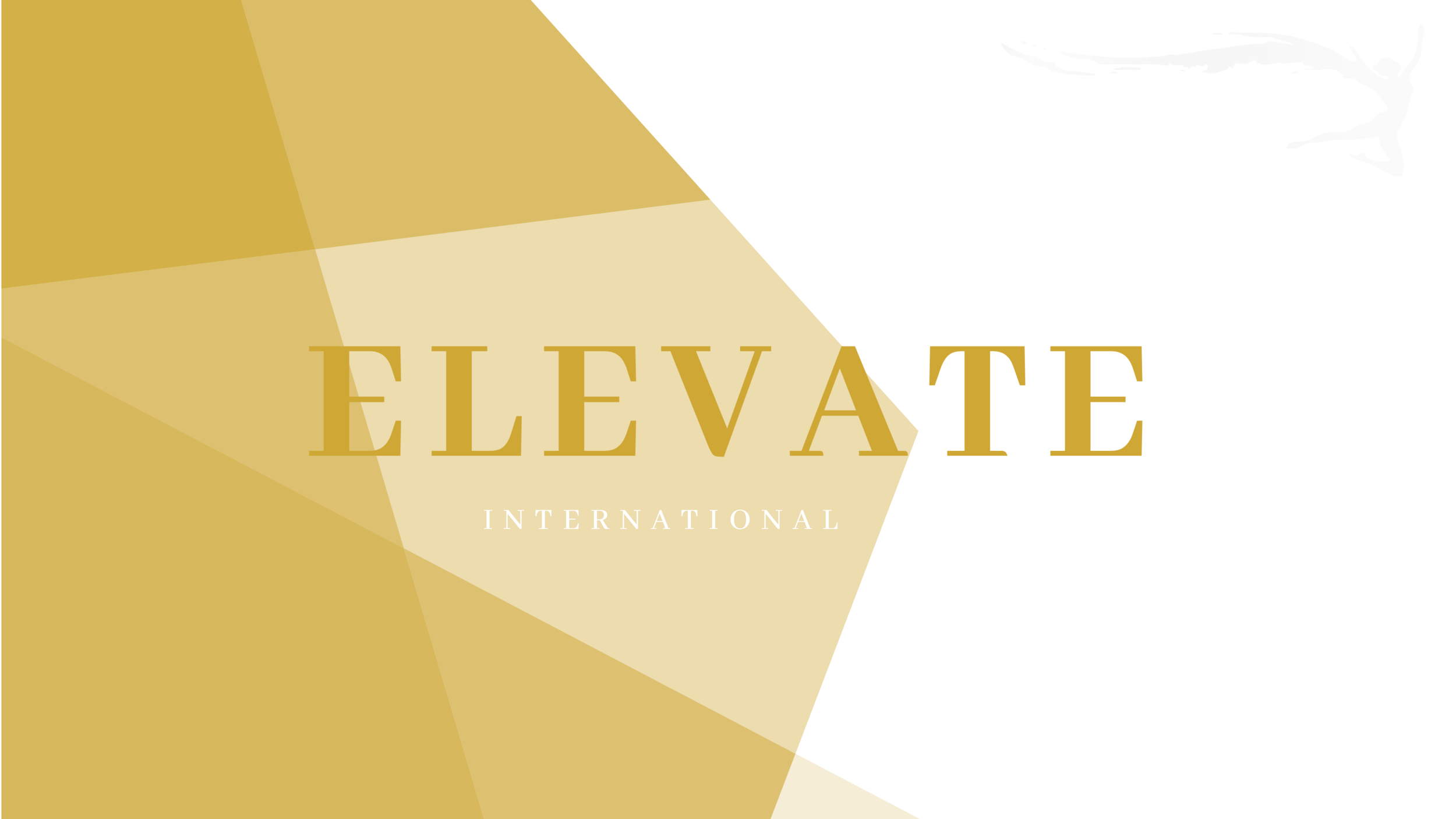 Elevate Board of Directors — Elevate International