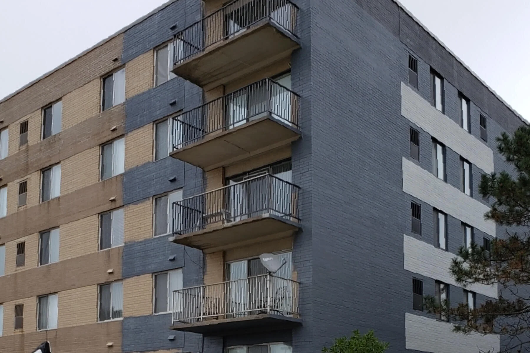 Commercial Services — Patton Painting