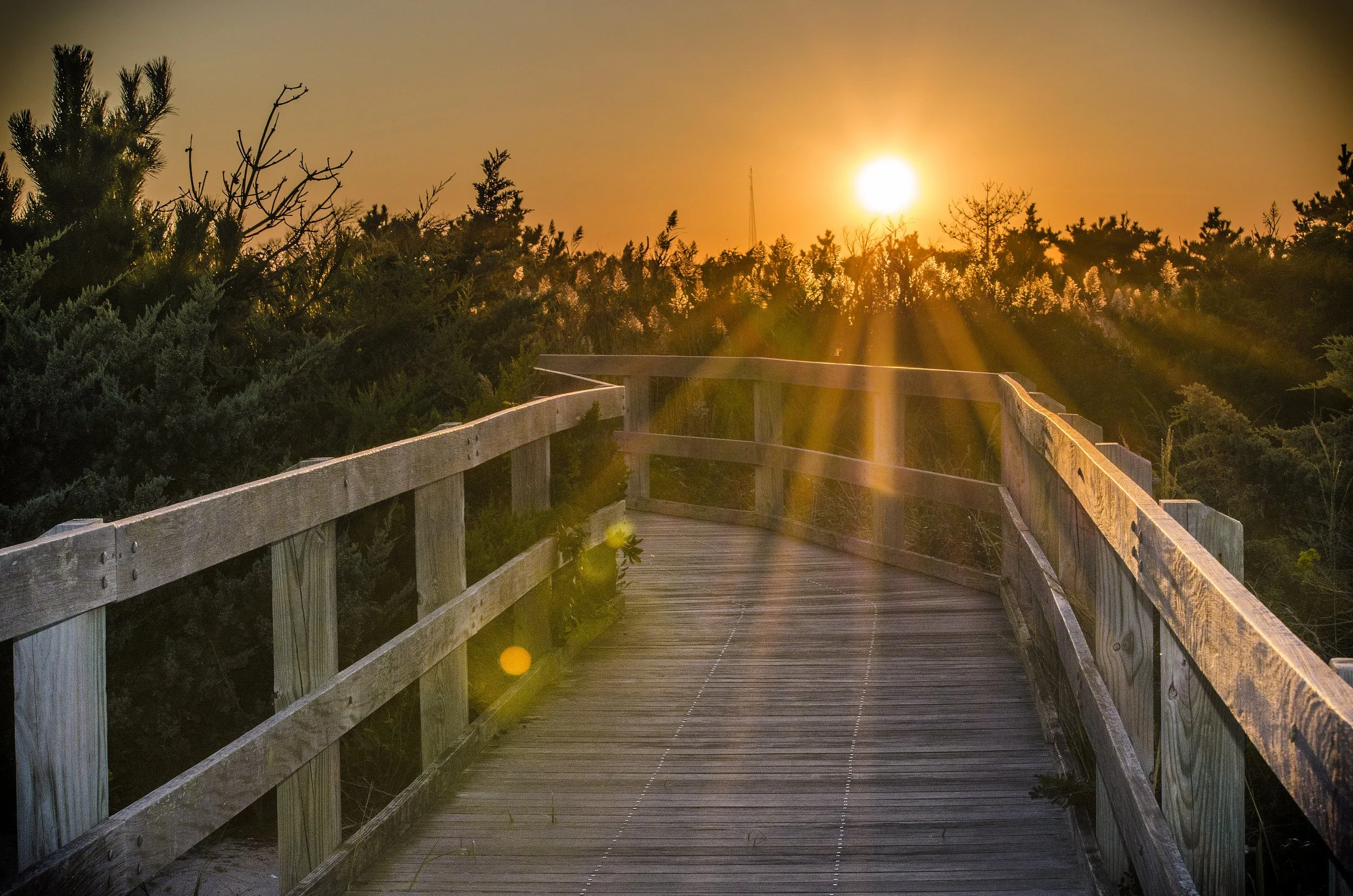 Natural Heritage Trust