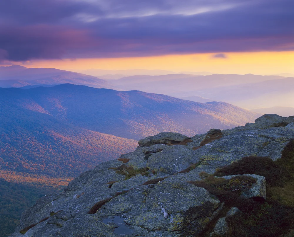 Vermont Biodiversity Alliance