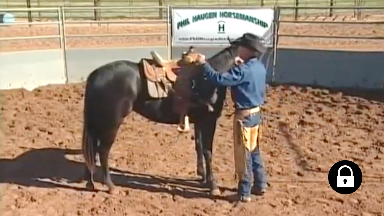 Foundation to Finish - Online Horsemanship Course — Phil Haugen ...