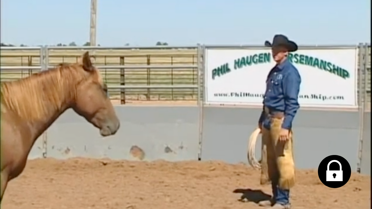 Foundation to Finish - Online Horsemanship Course — Phil Haugen ...