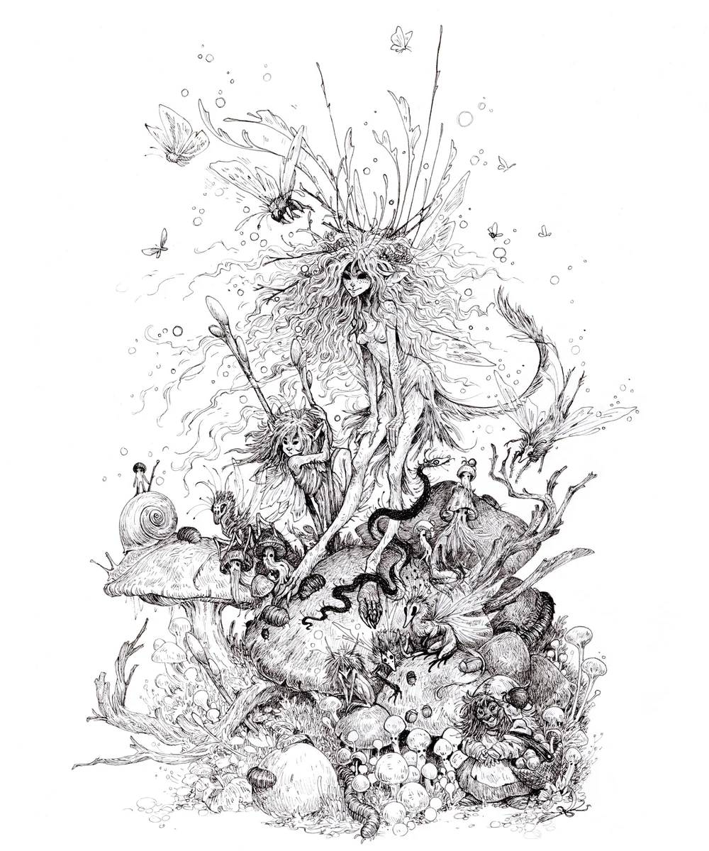 Pencil Drawings Of Fairies On Mushrooms
