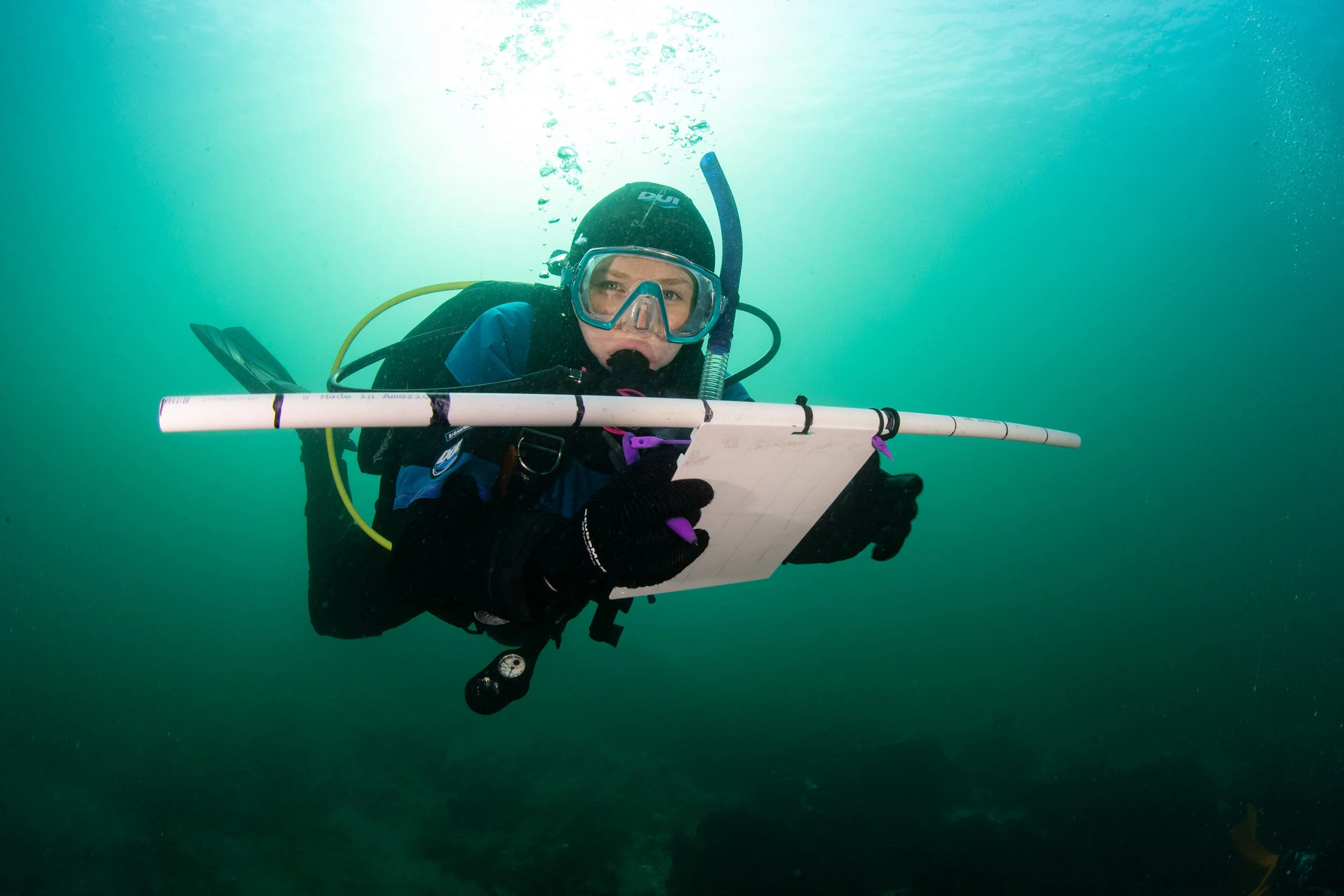Meet Annie Crawley's Scuba Diving Team — Fiona Treacy — Edmonds ...