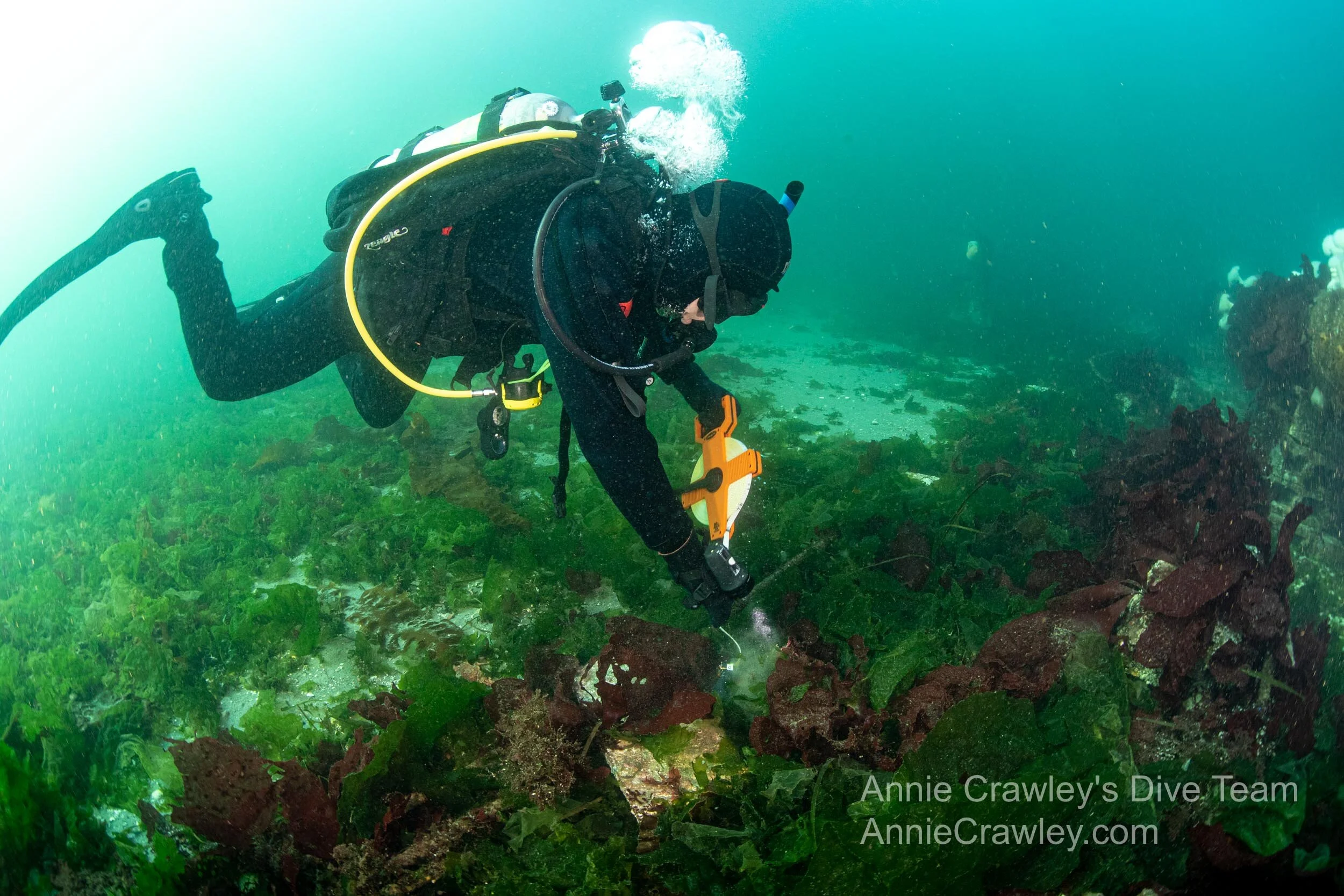 Meet Annie Crawley's Scuba Diving Team — Kai Widmer — Edmonds Underwater Park