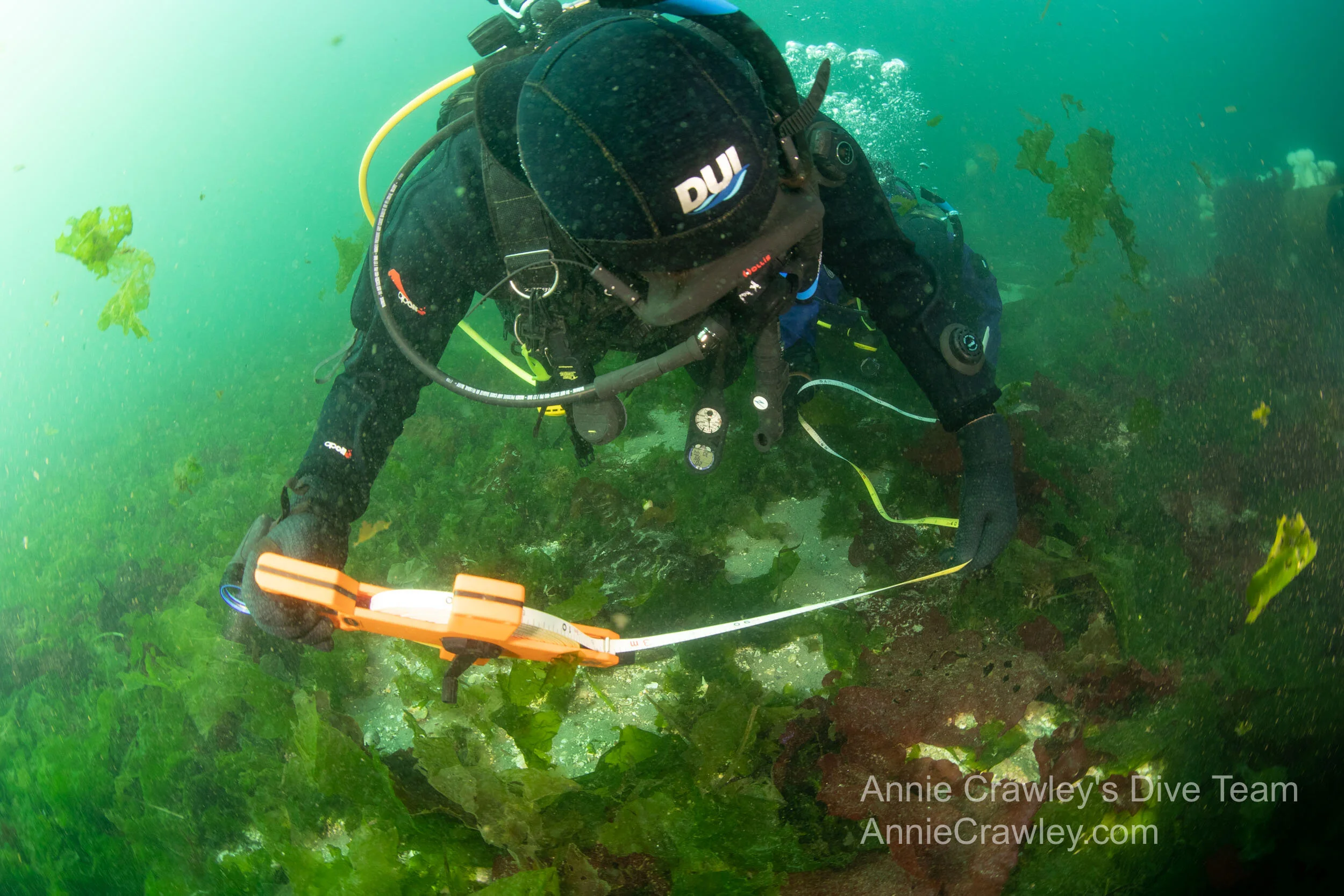 Meet Annie Crawley's Scuba Diving Team — Kai Widmer — Edmonds Underwater Park