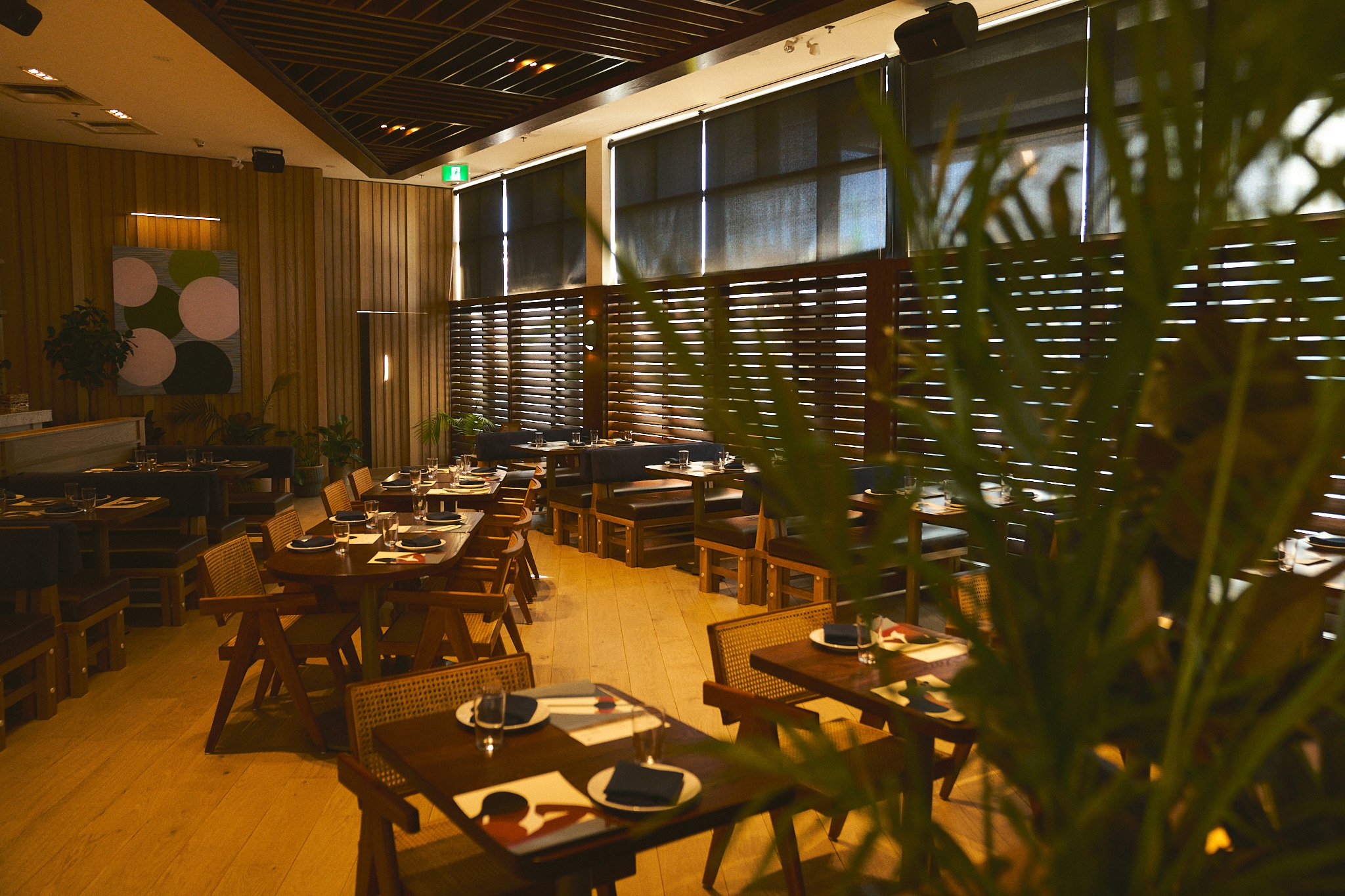 Surfy Surfy — Concorde Group