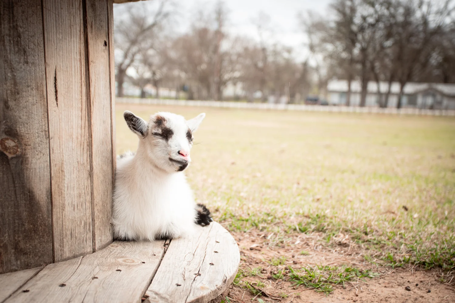 Professional Counseling — The Hope Place