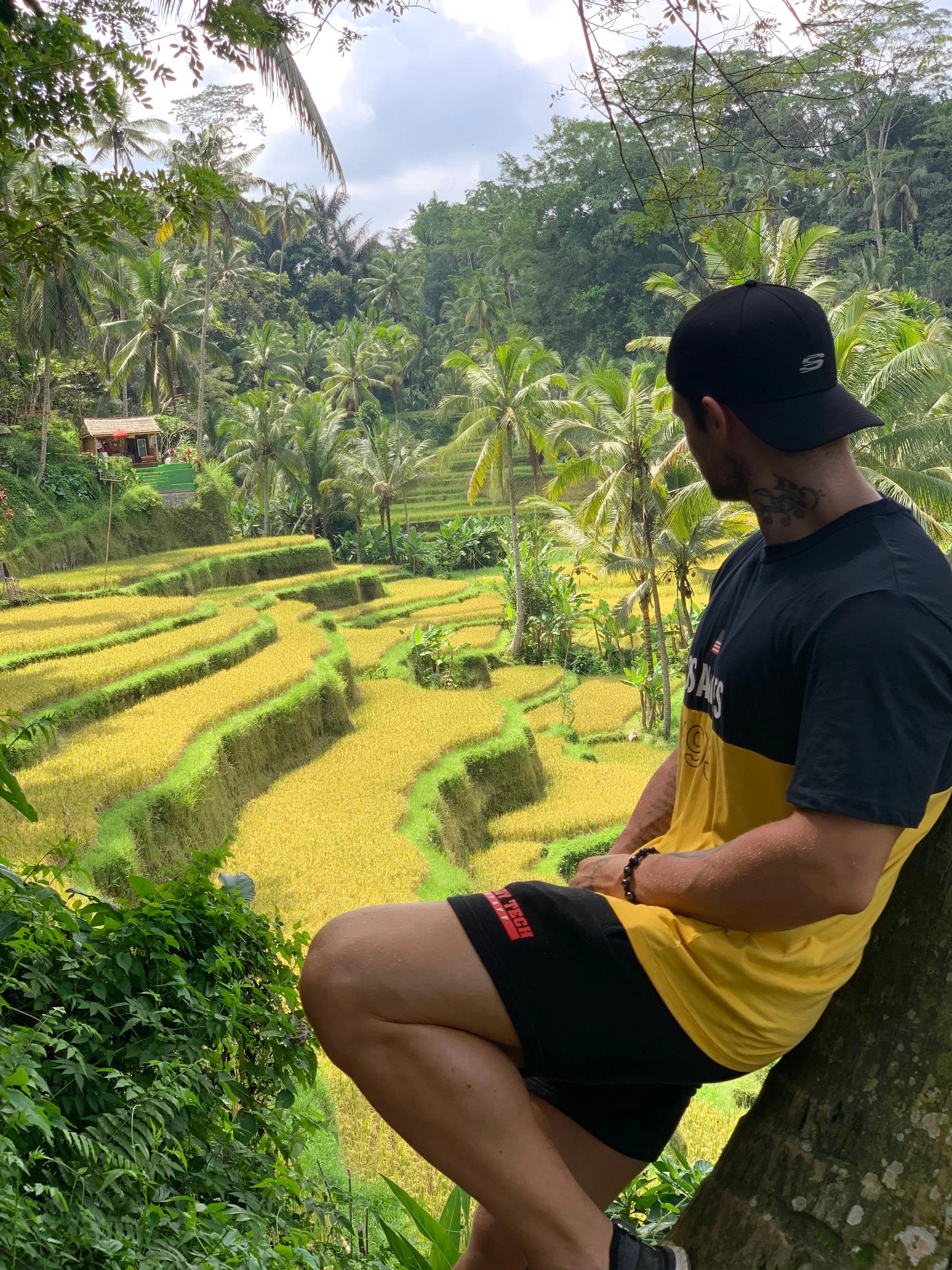 My Story — Nick Capo