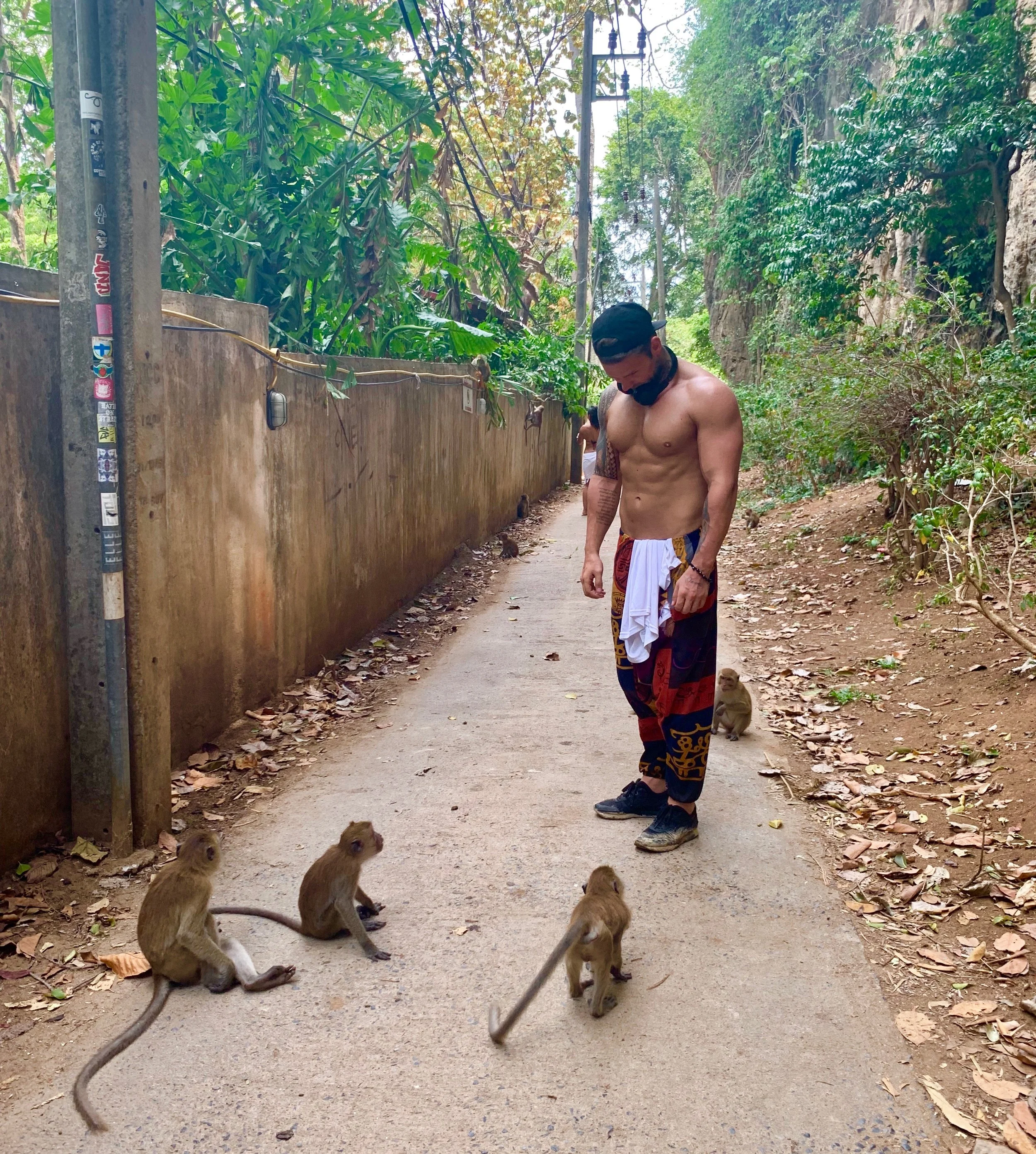 My Story — Nick Capo