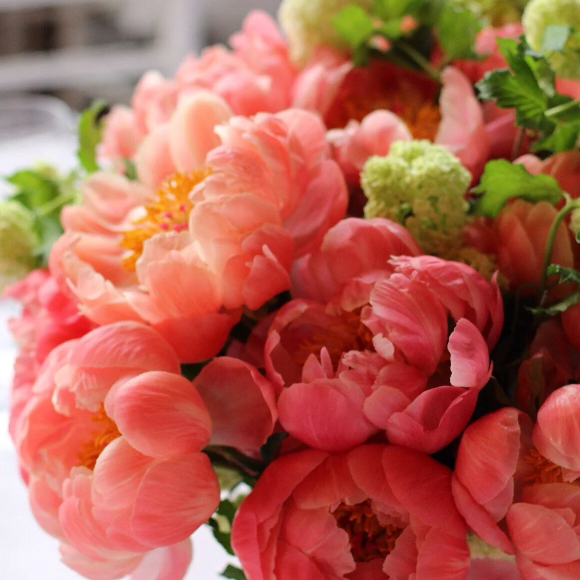 HIGH END PRIVATE CLIENT FLORAL ARRANGEMENTS — VILLANUEVA DESIGNS