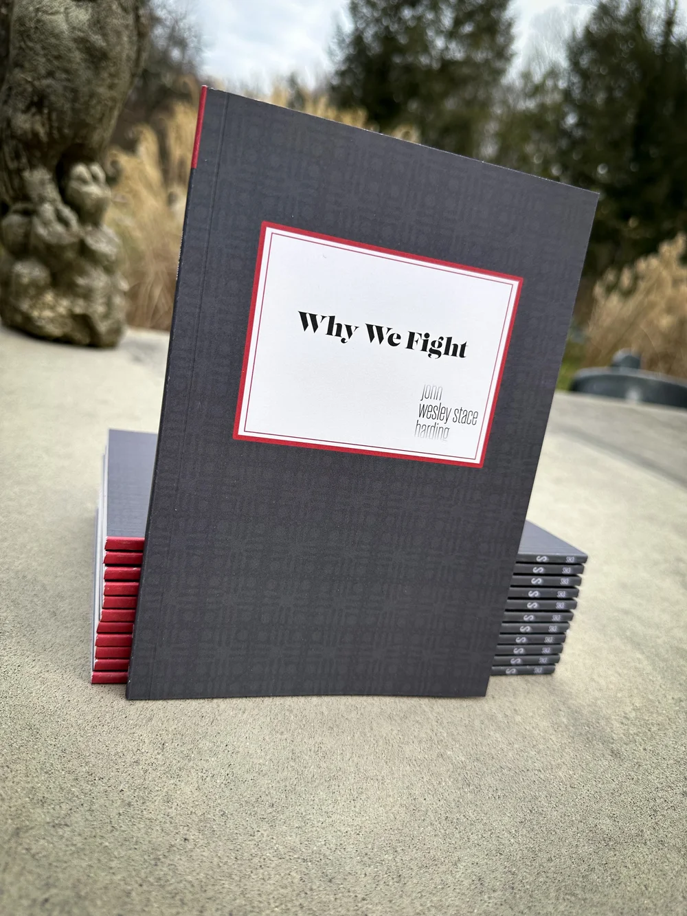 The Secret Series — wesley stace