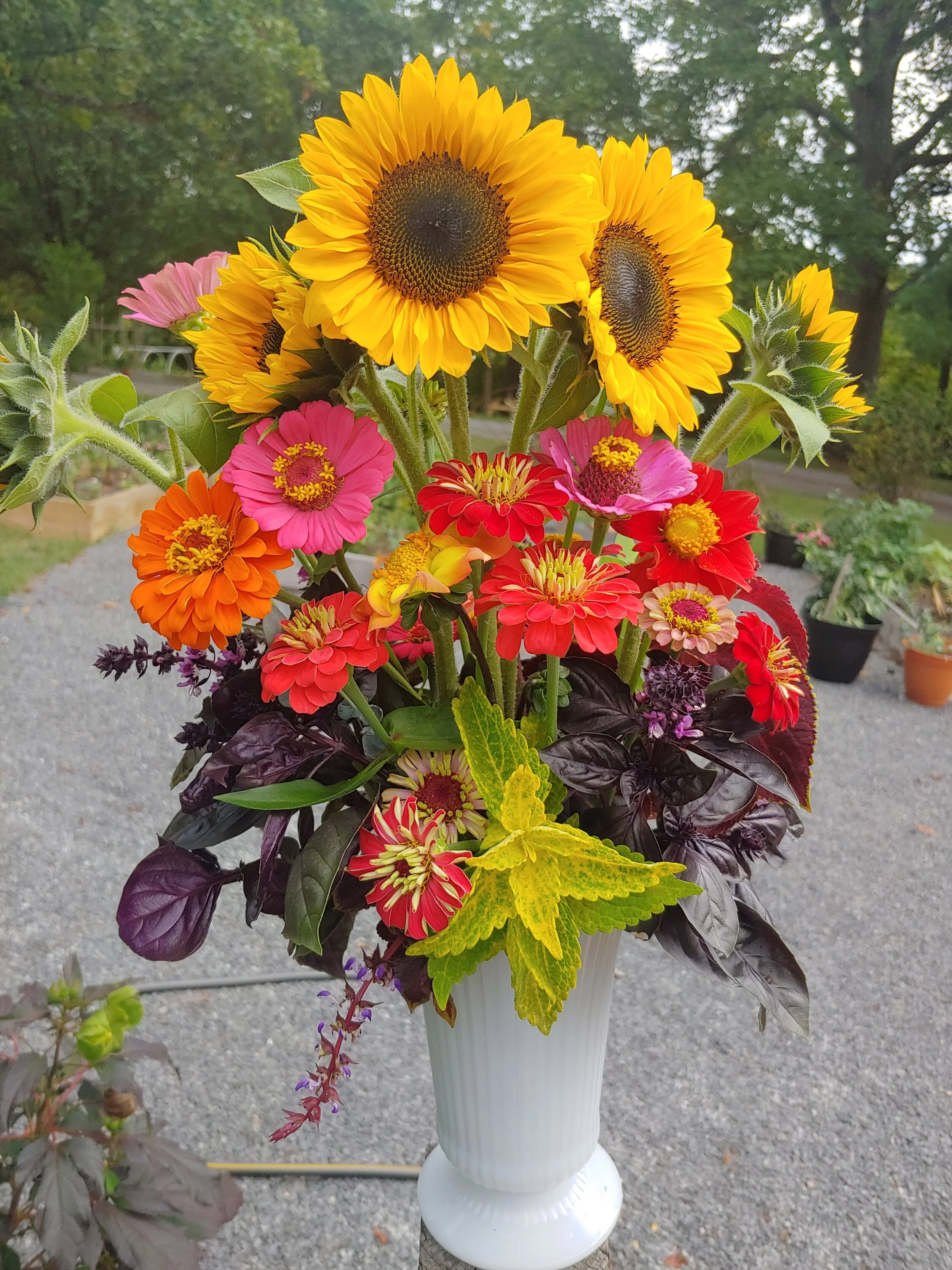 Shop — Reiner Hill Flowers