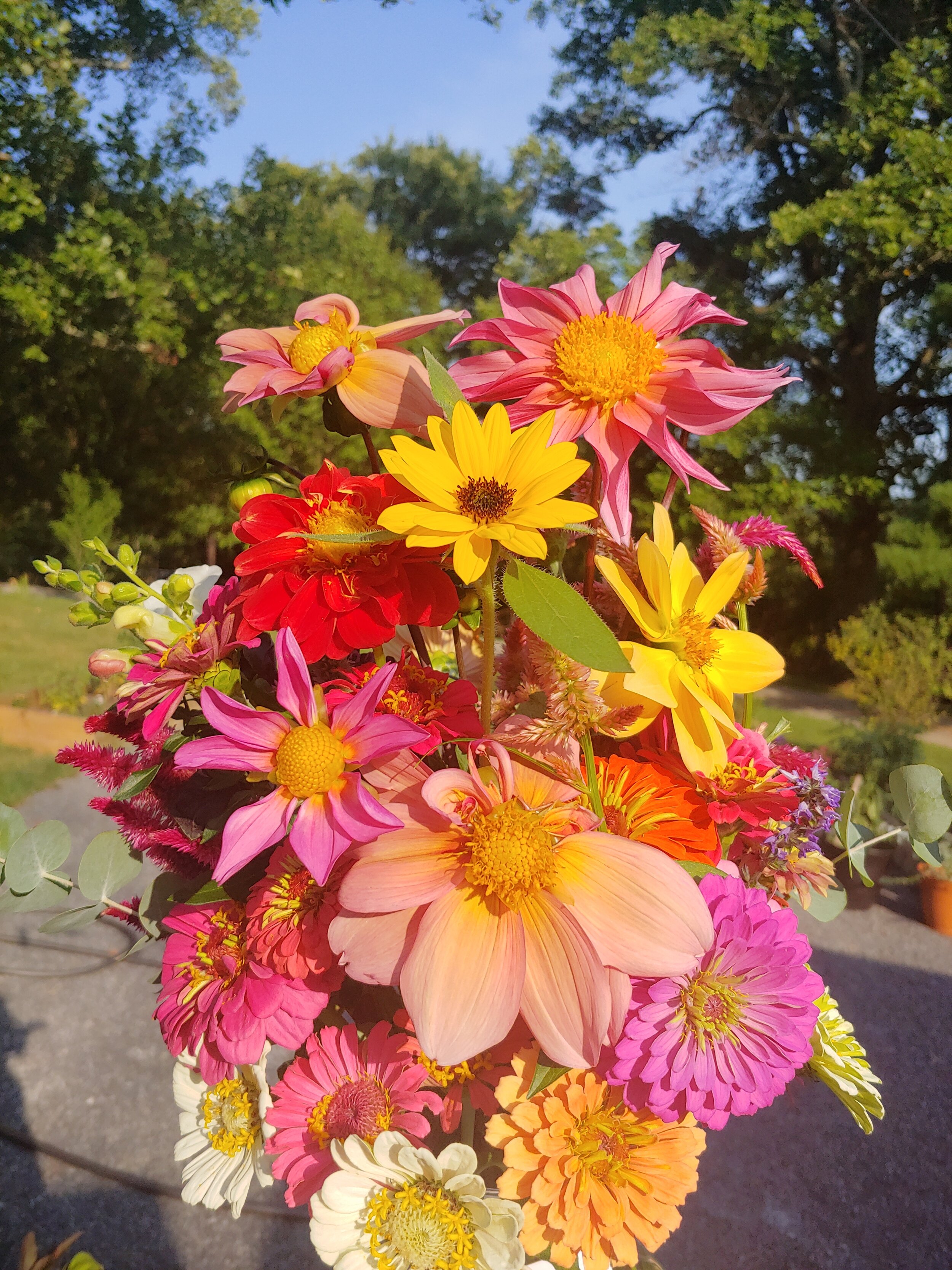 Shop — Reiner Hill Flowers