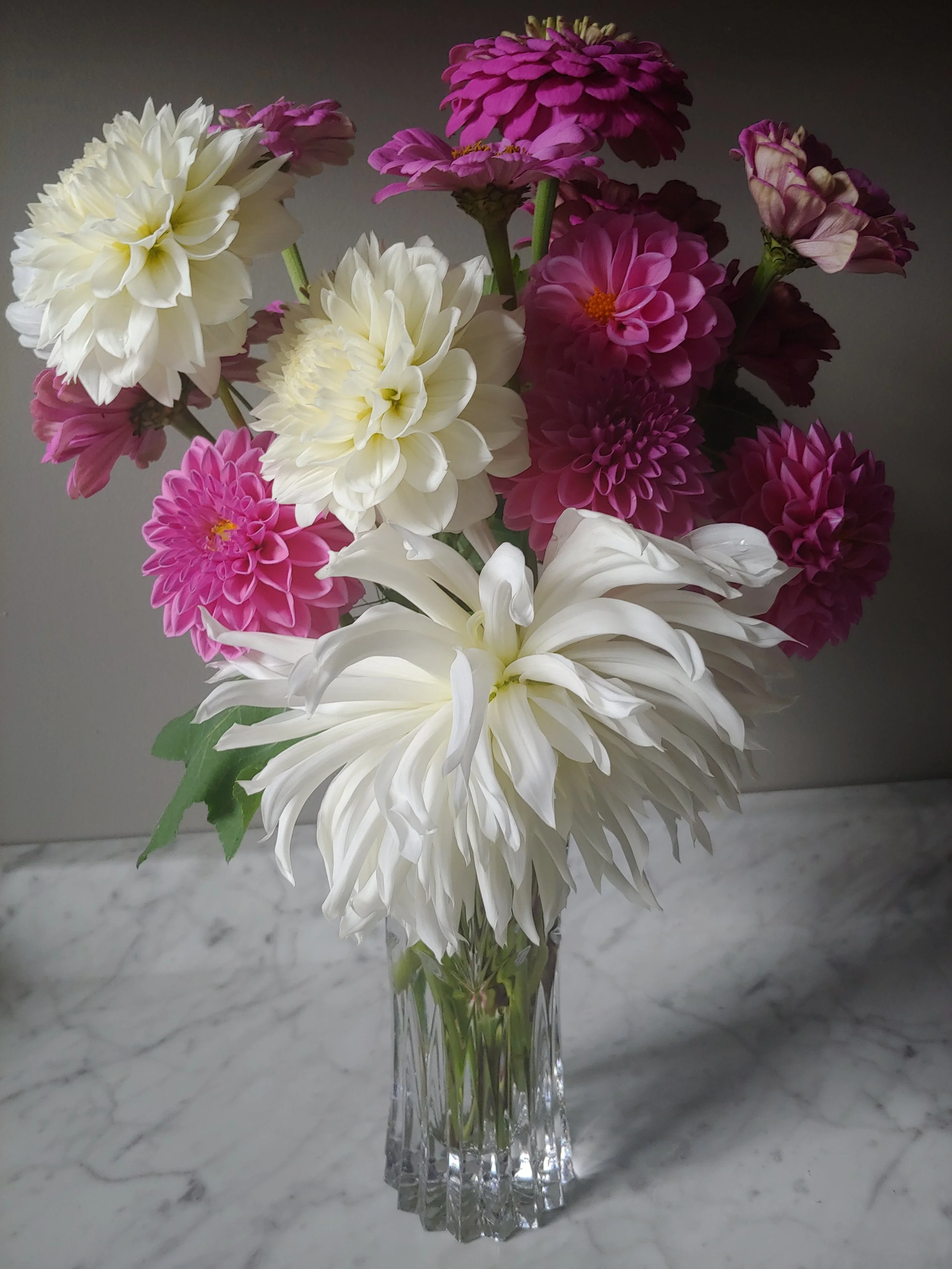 Shop — Reiner Hill Flowers