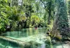 10 Prettiest Natural Springs in Florida to Swim and Kayak — Nomads in ...