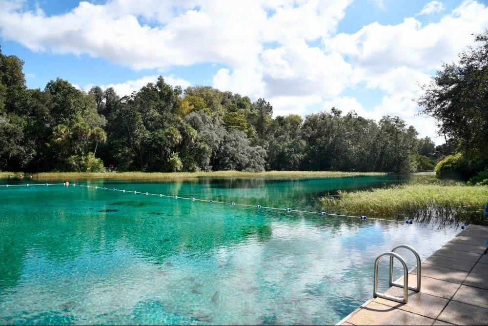 10 Prettiest Natural Springs in Florida to Swim and Kayak — Nomads in ...